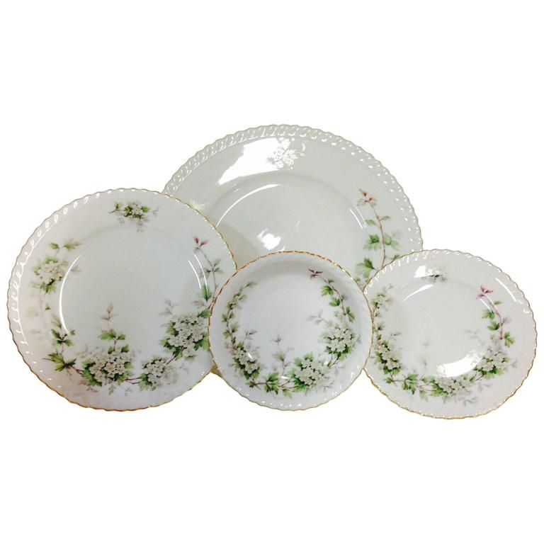 32-Piece Set of German Hawthorn by Franconia-Krautheim Porcelain at ...