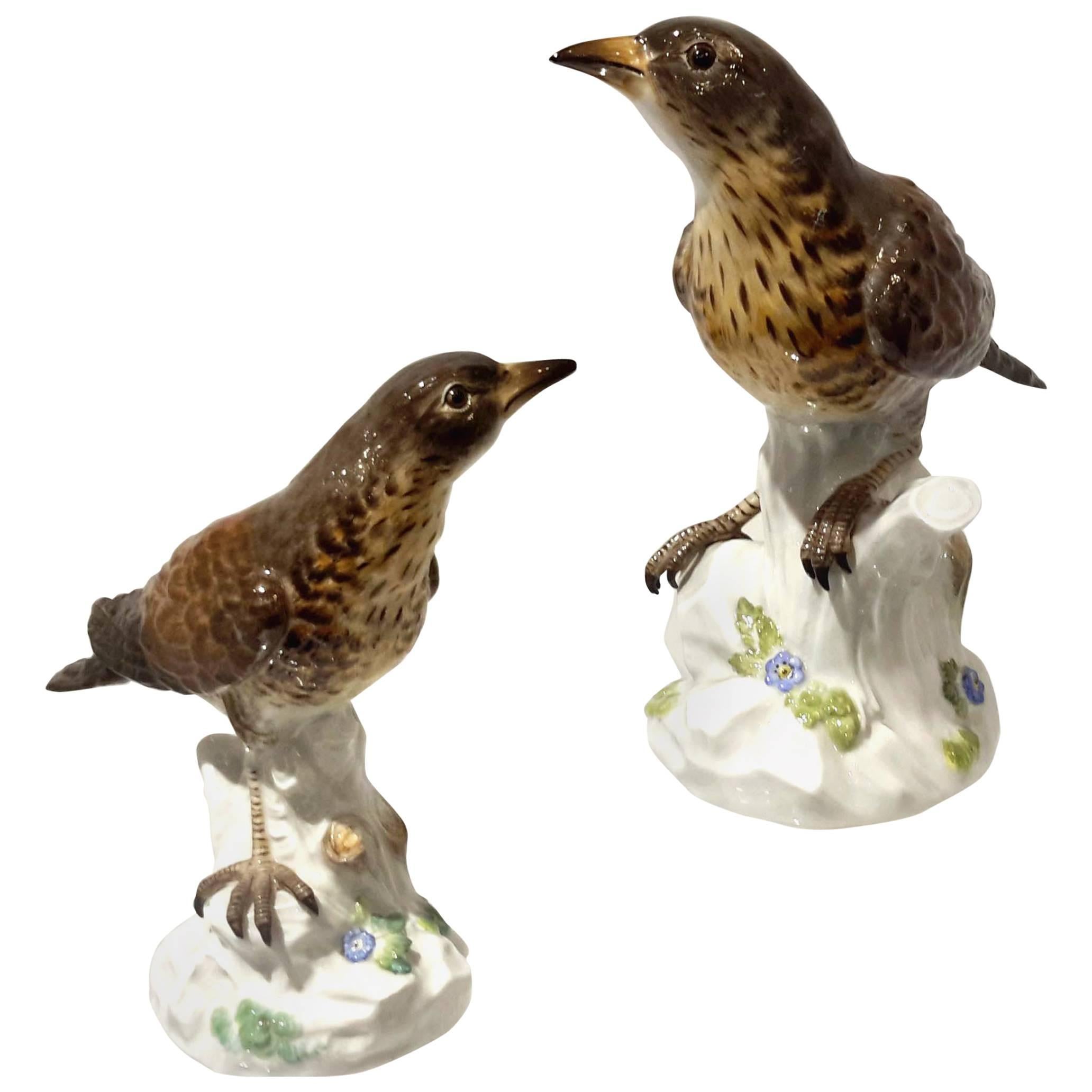 Pair of Meissen Porcelain Models of Fieldfare Birds, Germany, circa ...