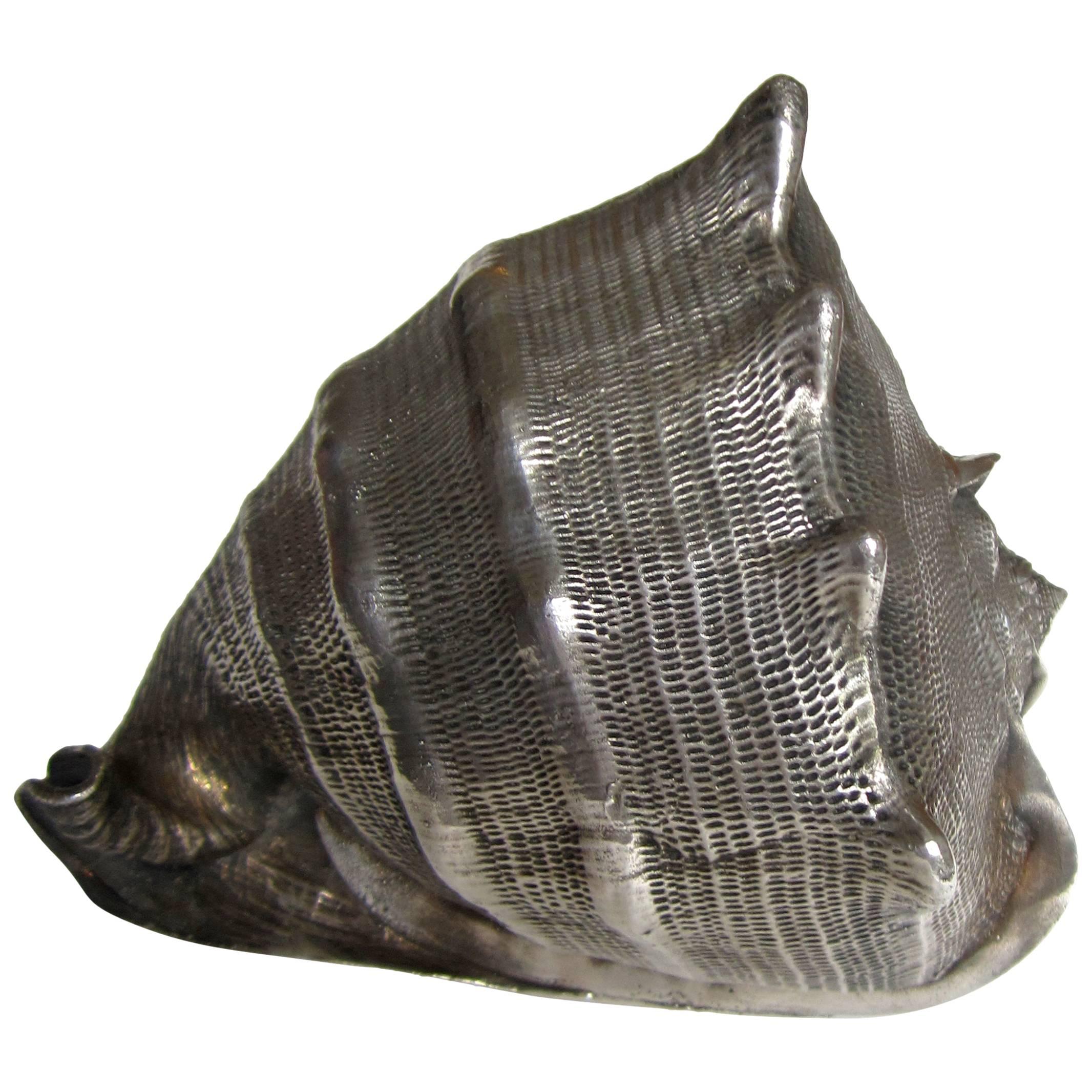 Silver Covered Shell at 1stDibs