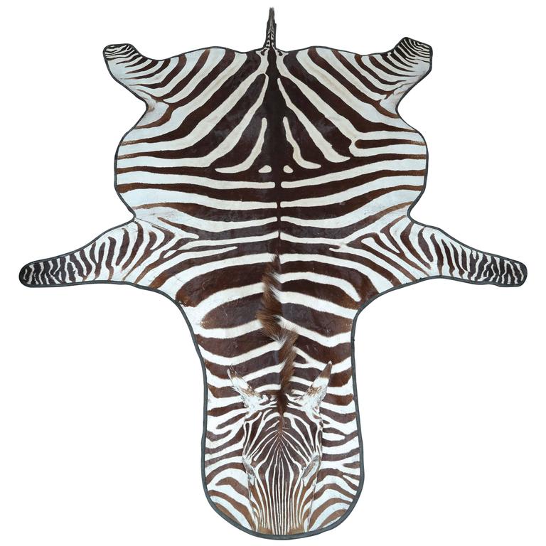 Genuine Zebra Skin Rug at 1stDibs