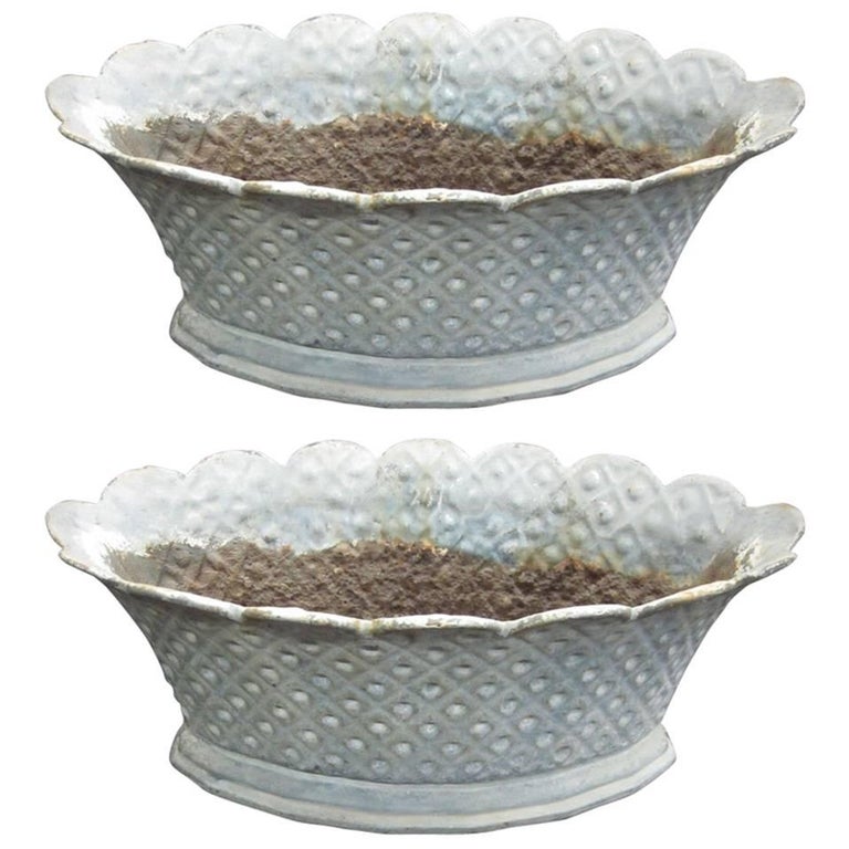 French Zinc Flower Display at 1stDibs