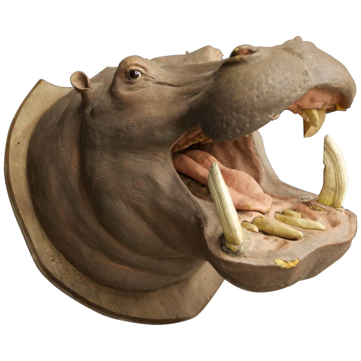 Large Fiberglass, Hippo at 1stDibs