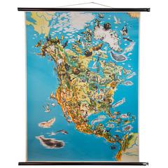 Rare Antique Classroom Pull Down Map Cabinet In Oak Case at 1stdibs