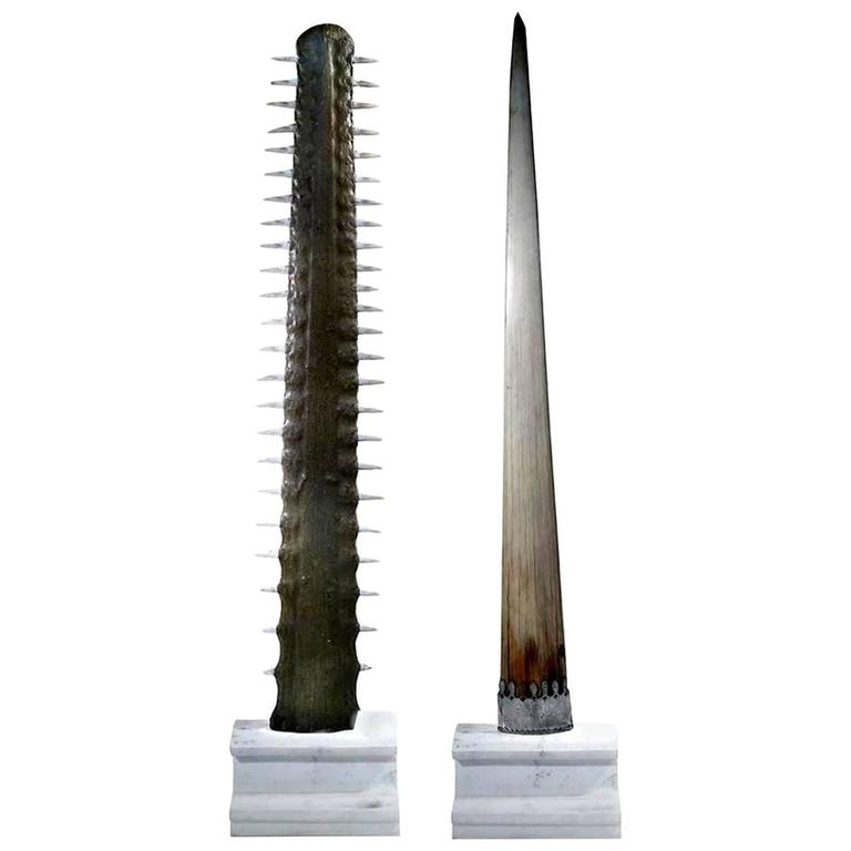 Sawfish and Swordfish Bill Collection at 1stDibs