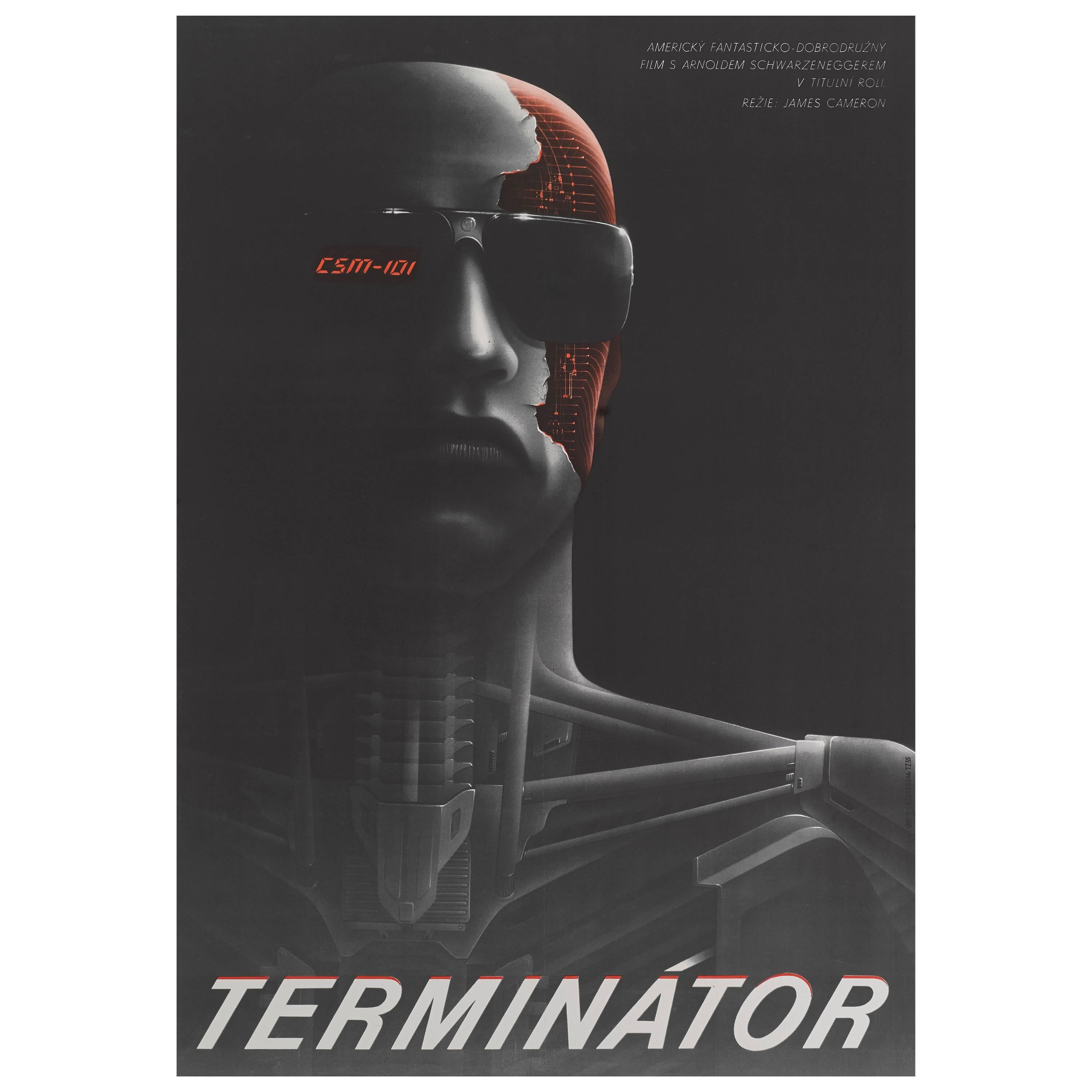 "Terminator" Movie Poster at 1stDibs