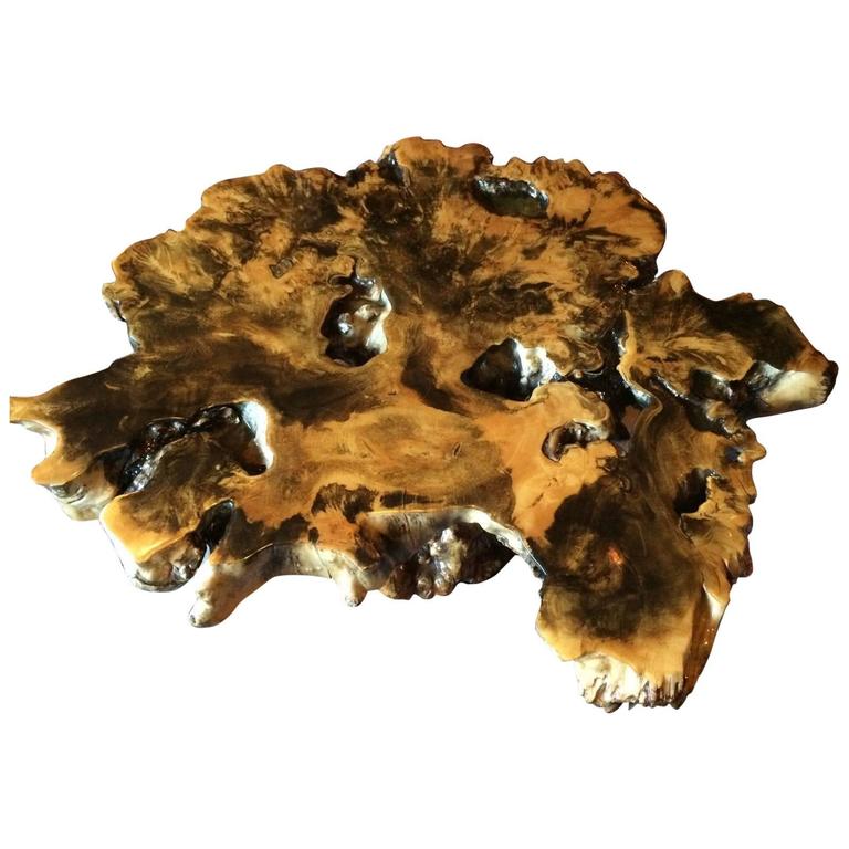 Coffee Table Sierra Buckeye Burr Walnut Reclaimed Lacquered Tree Stump ...