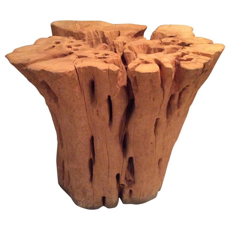 Cypress Driftwood Tree Base Trunk Dining Game Table Round Root ...