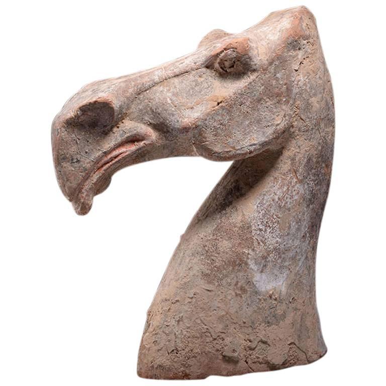 Ancient Chinese Han Dynasty Pottery Horse Head Sculpture, 202 BC at ...