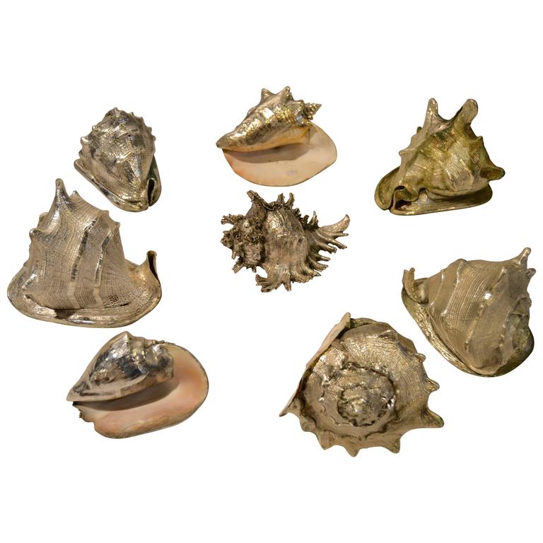 Set of Eight Silvered Sea Shells by Buccellati at 1stDibs