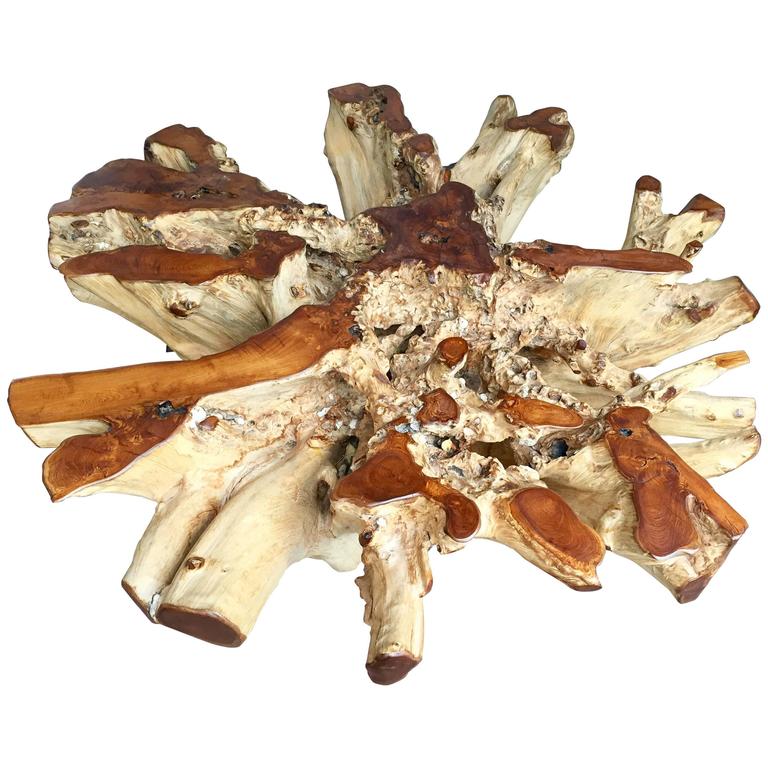 Giant Ancient Teak Root Table Base at 1stDibs