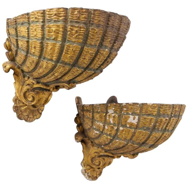 Scallop Shell Wall Lights at 1stDibs