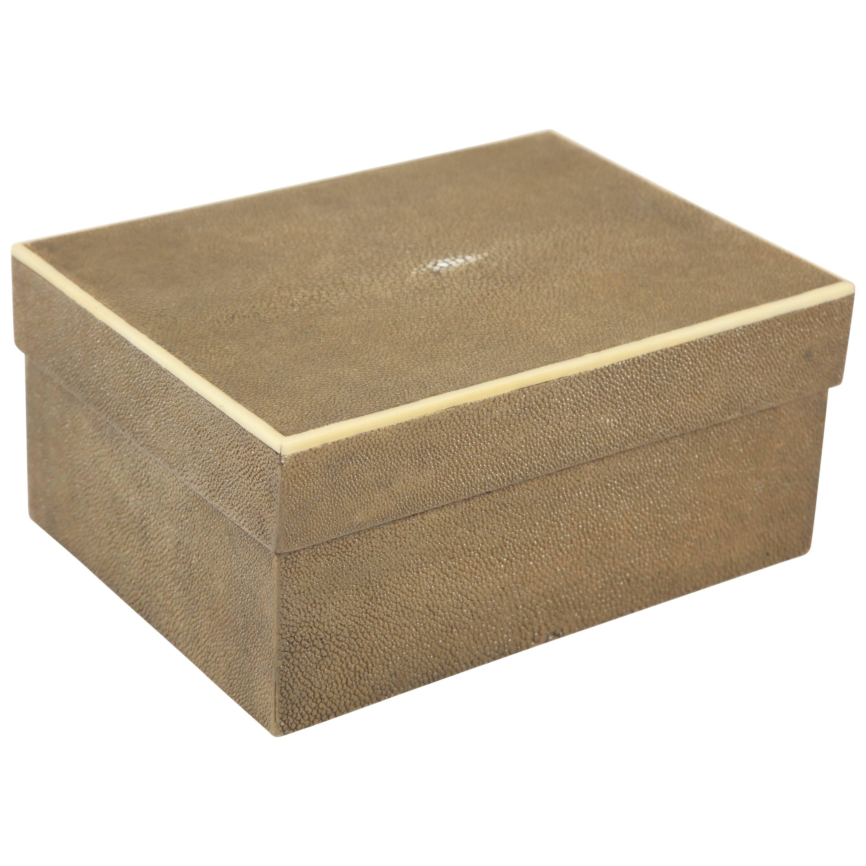 Bone Boxes - 262 For Sale at 1stdibs