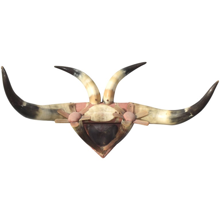 19th Century Steer Horn Ladies Hat Pin Cushion or Mens Hat Rack For ...