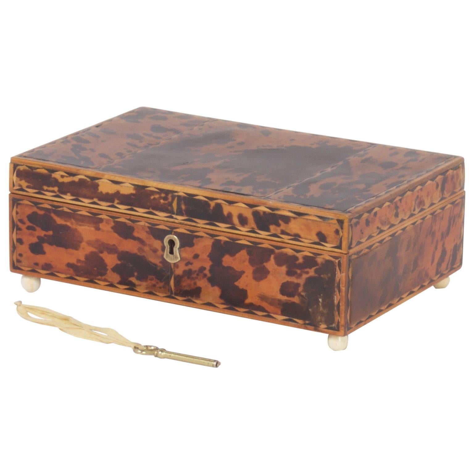Luxurious Anglo Indian Box at 1stDibs | anglo box
