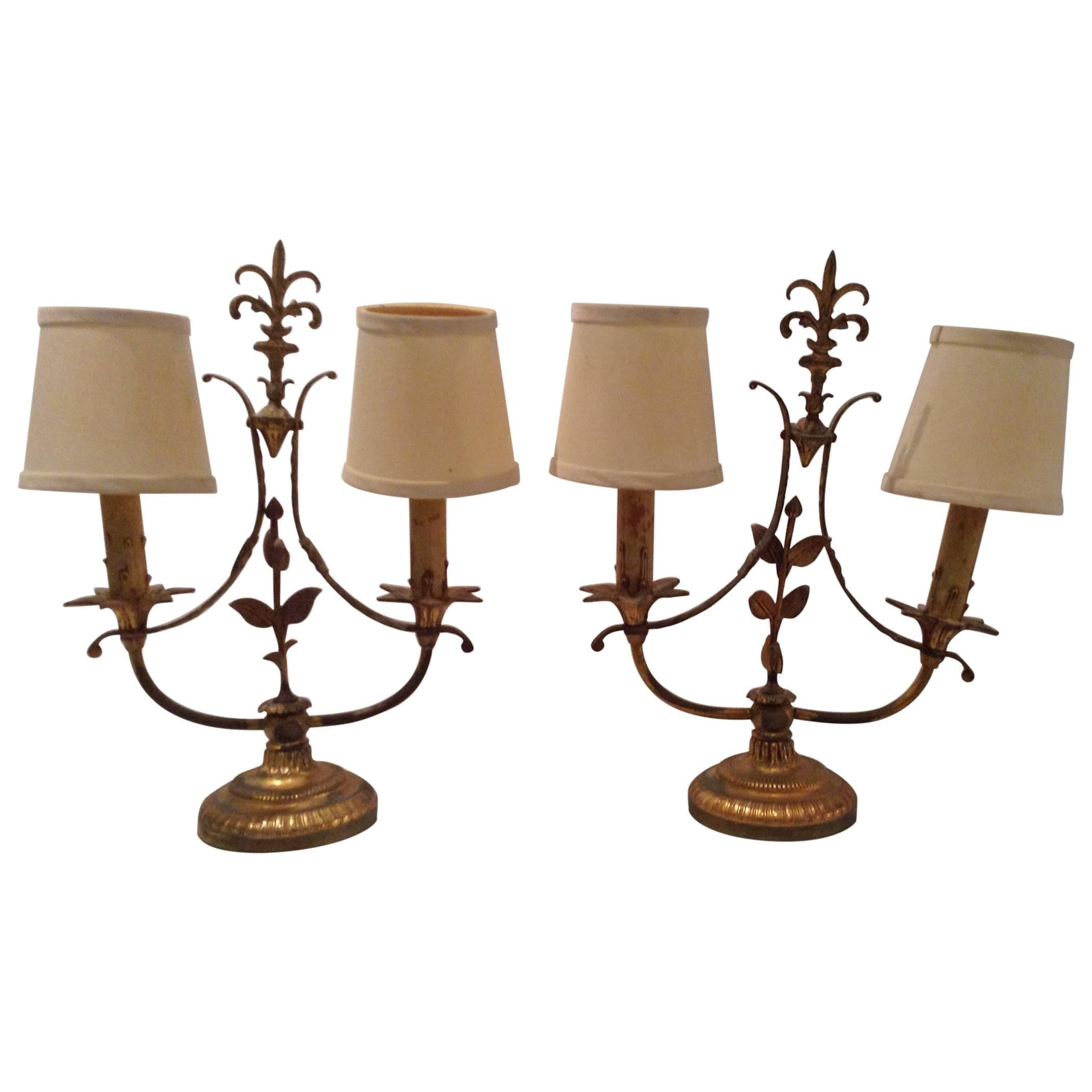 Pair of Antique French Lamps at 1stDibs