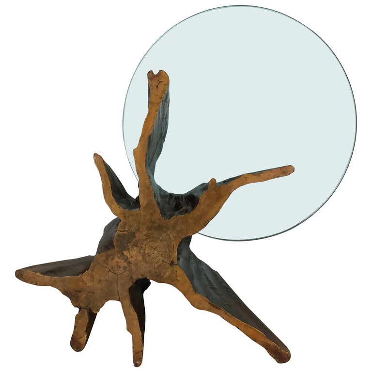 Unusual Organic Cyprus Root and Glass Coffee Table at 1stDibs