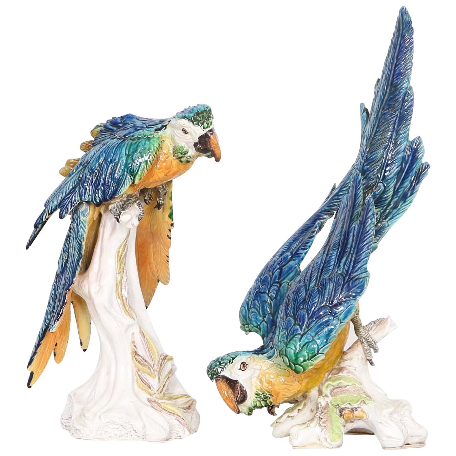 Italian Majolica Parrots - 2 For Sale on 1stDibs