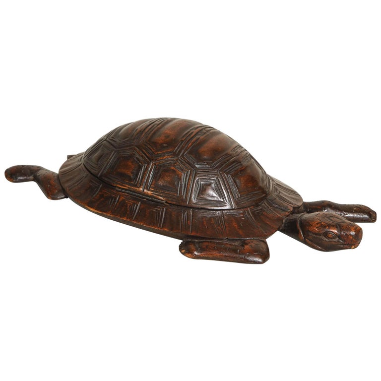 Box Turtle Box For Sale at 1stDibs