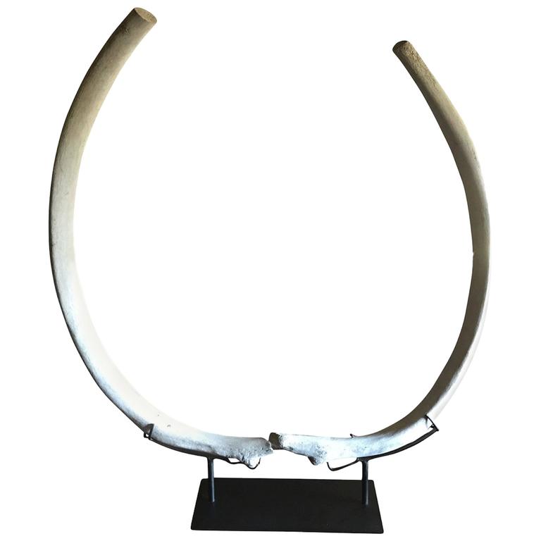 Large Whale Bone Sculpture, South America, 1920s at 1stDibs