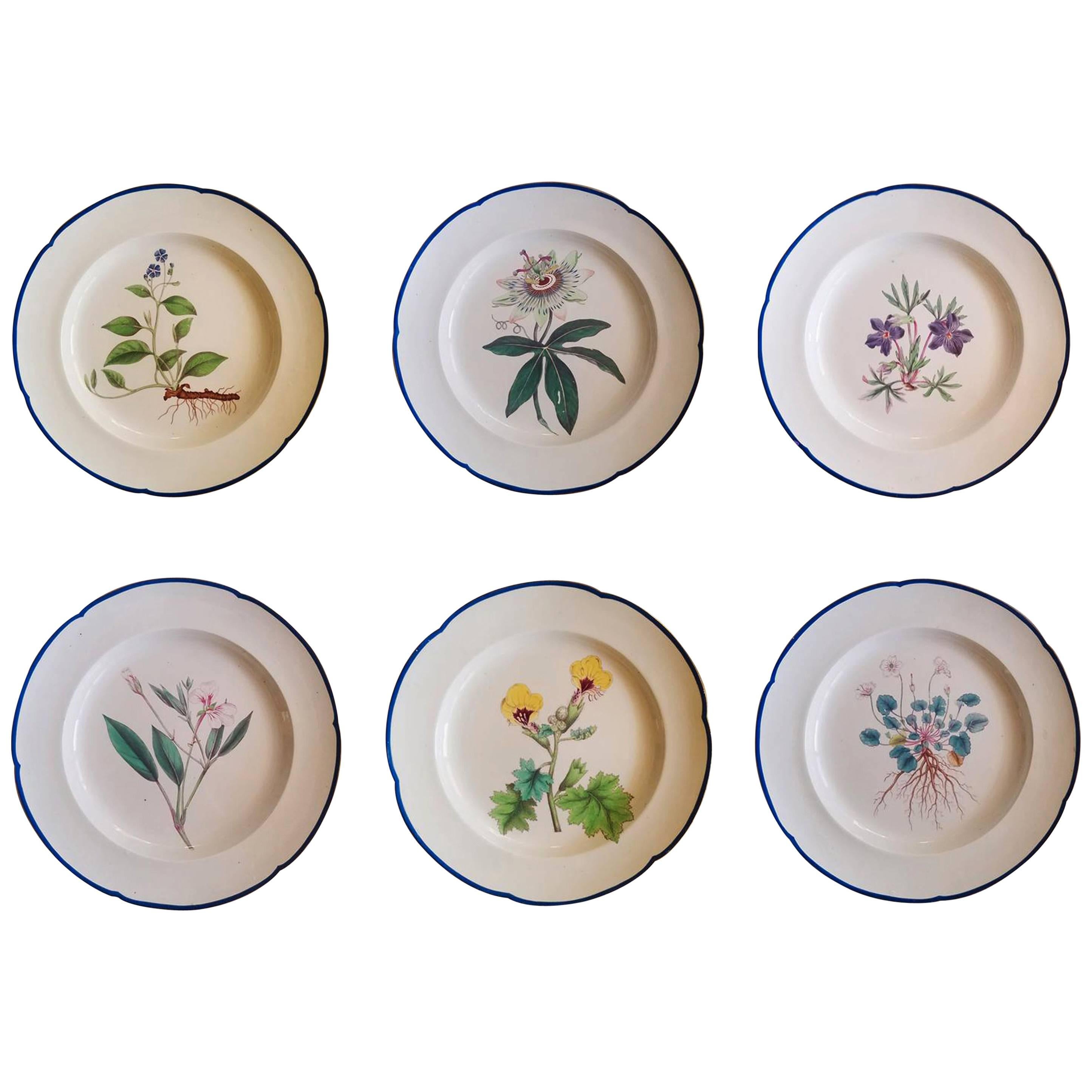 English Botanical Pearl Ware Pottery Painted Named Specimen Plates, Wm ...