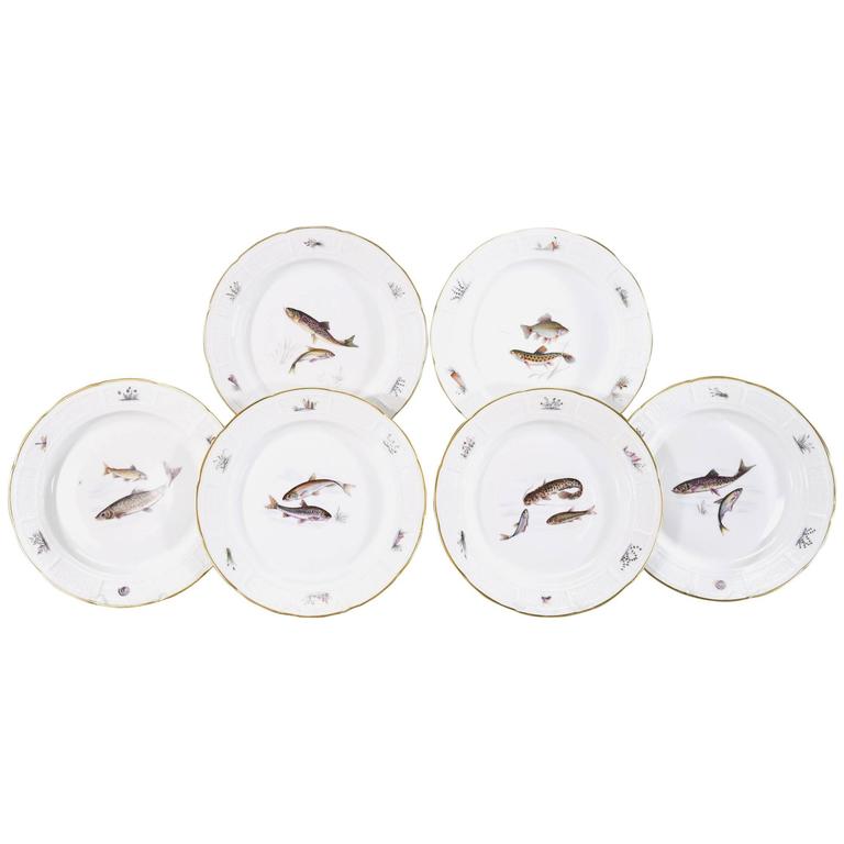 18 Nymphenburg Hand-Painted Fish Plates W/ Named Fish Platter and 2 ...