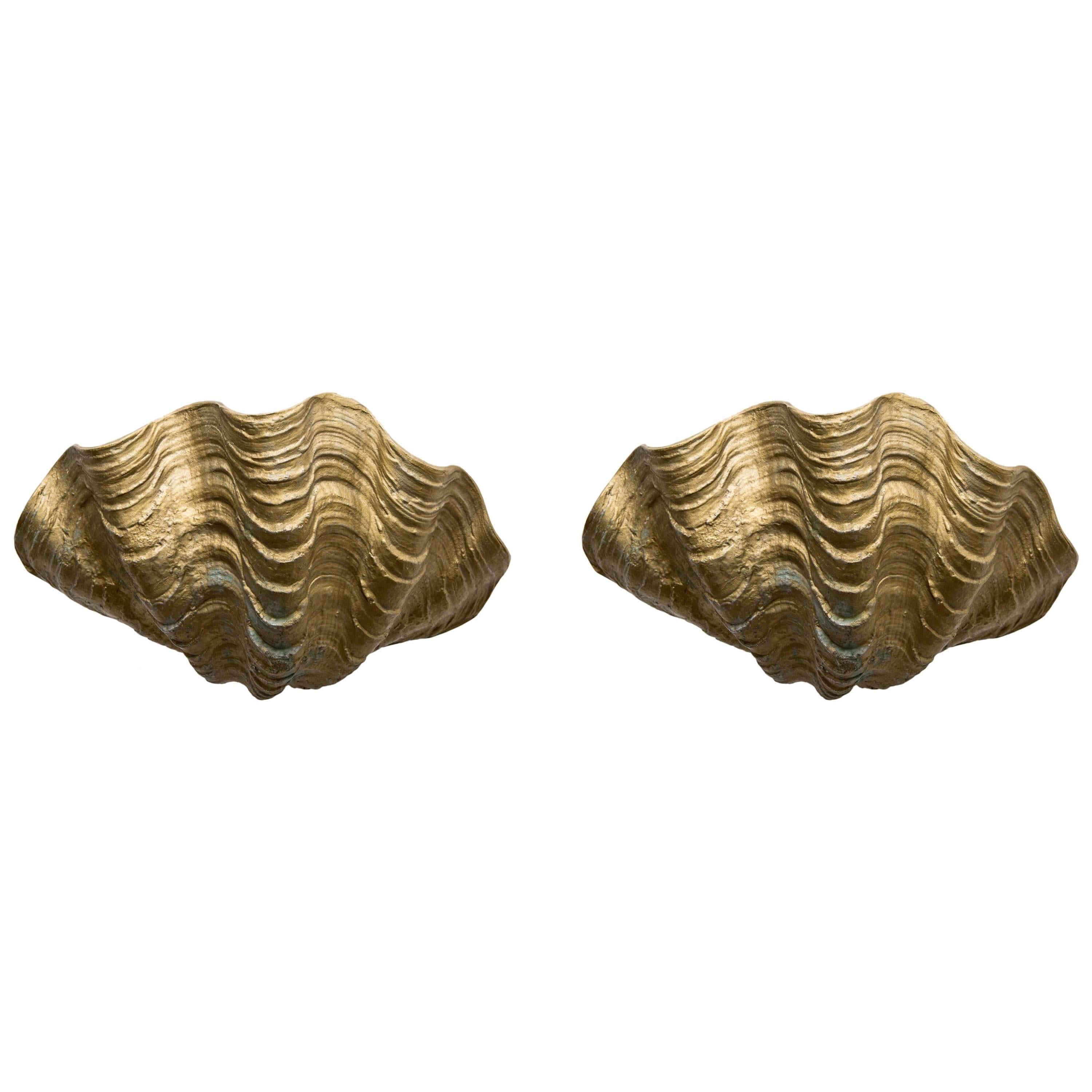 Pair of Shell Wall Sconces, Italy, circa 1960 at 1stDibs