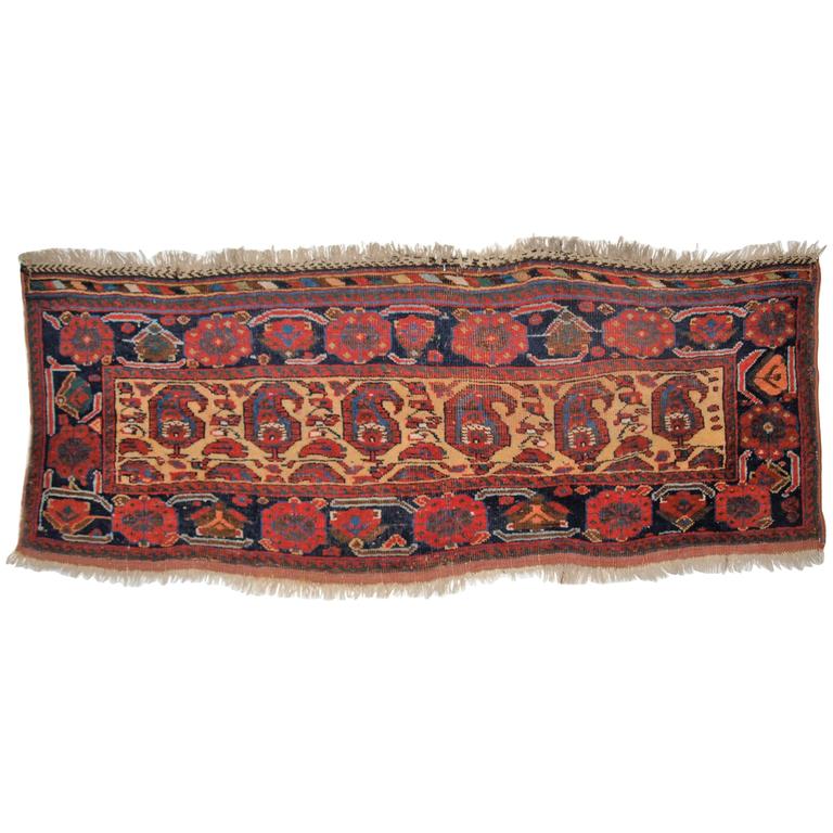Antique South West Persian Mafrash Panel by the Afshar Tribe, circa ...