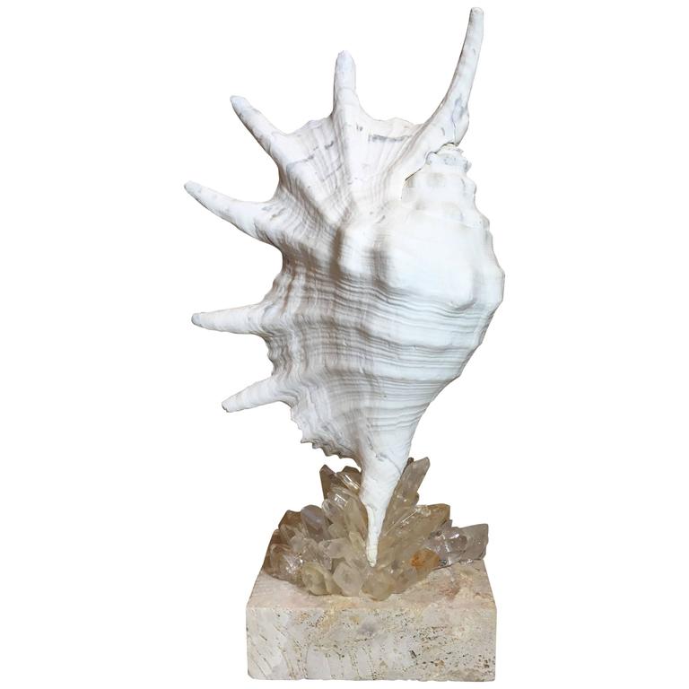 One of a Kind Sea Shell and Quartz Crystal at 1stDibs