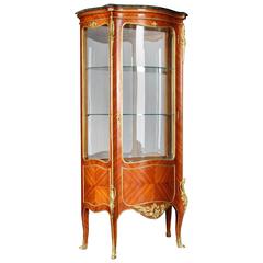 Exclusive French Vitrine in Louis XVI Style For Sale at 1stdibs