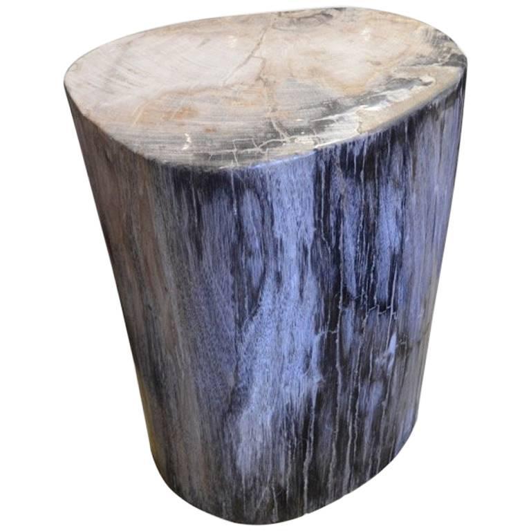 Andrianna Shamaris Petrified Wood Side Table at 1stDibs