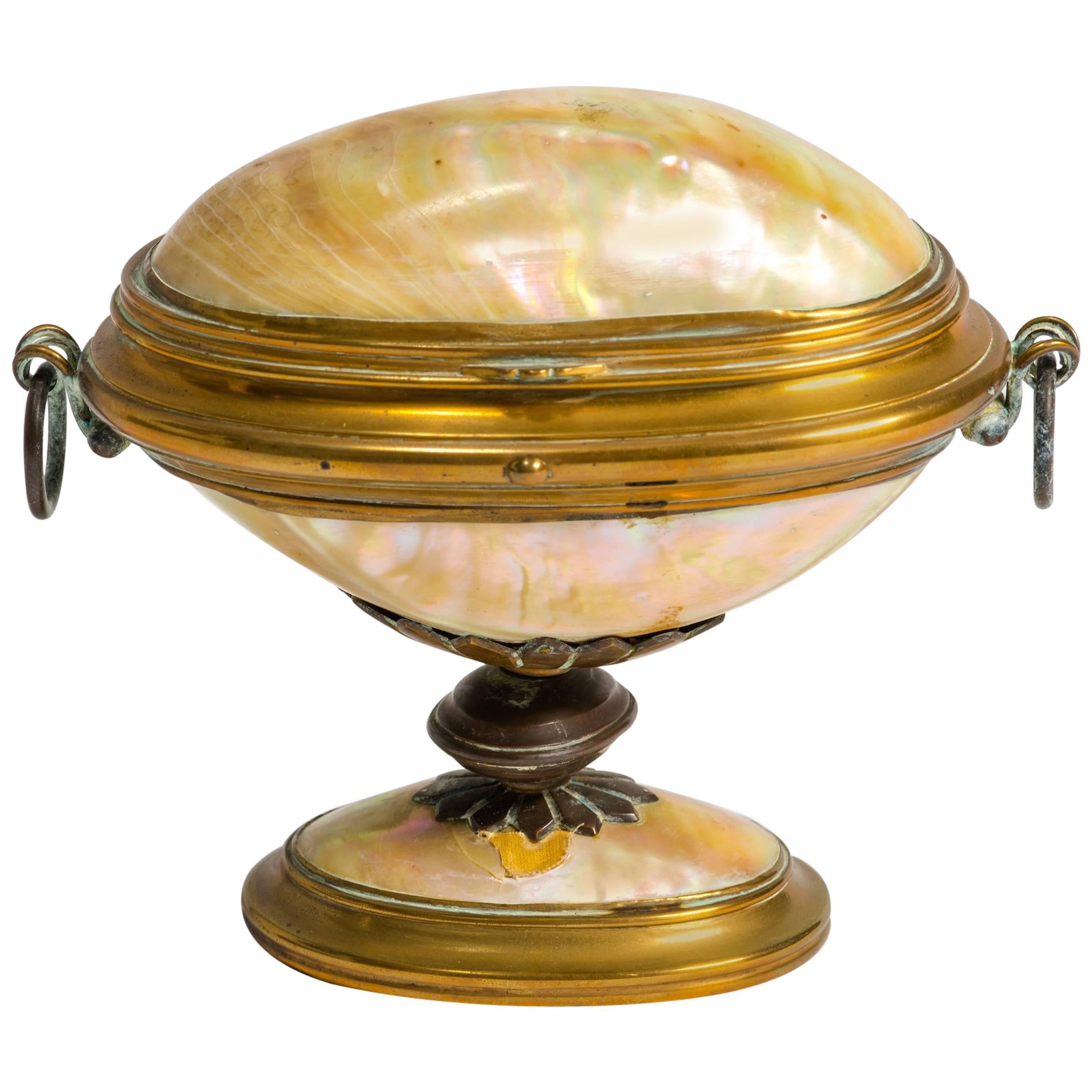 19th Century English Shell Box at 1stDibs