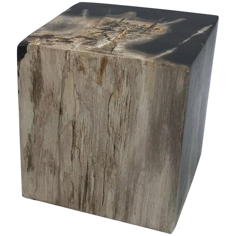 1950s Petrified Wood Cube Objet at 1stDibs