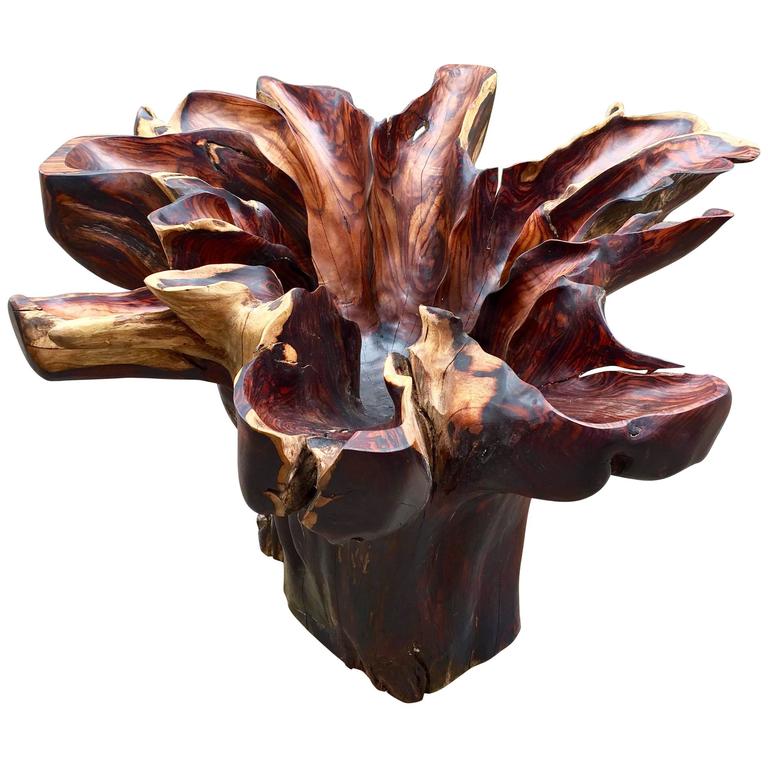 Rosewood Root Table Base Organic Modern at 1stDibs