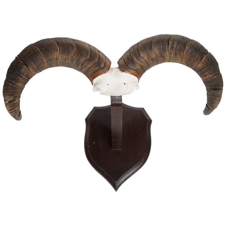 Vintage Blue Sheep Trophy at 1stDibs