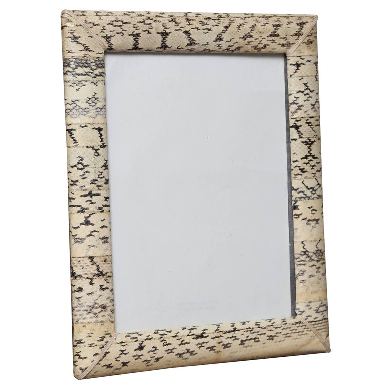 Vintage Snakeskin Picture Frame at 1stDibs