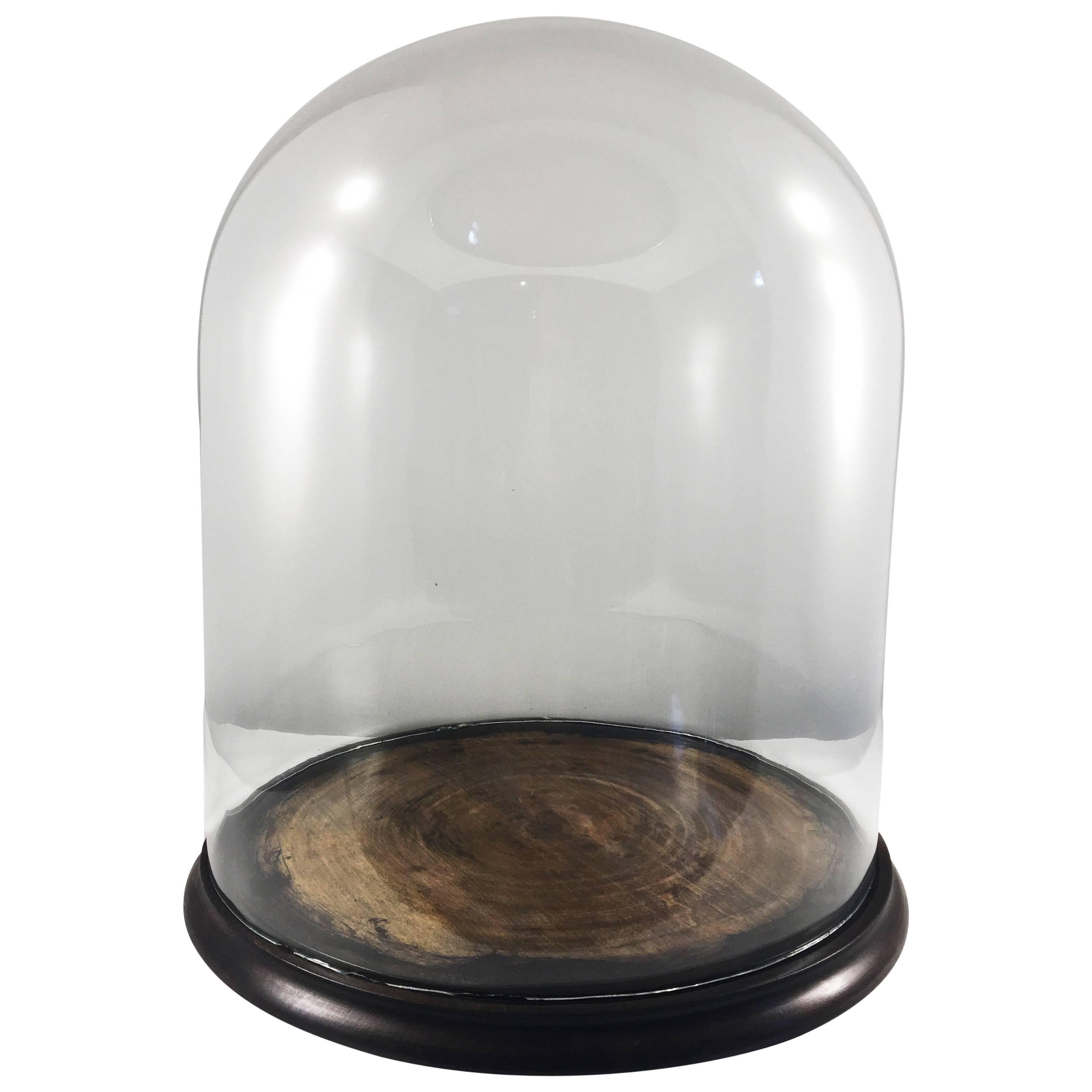 Victorian Glass Dome - 27 For Sale on 1stDibs | antique glass domes for ...