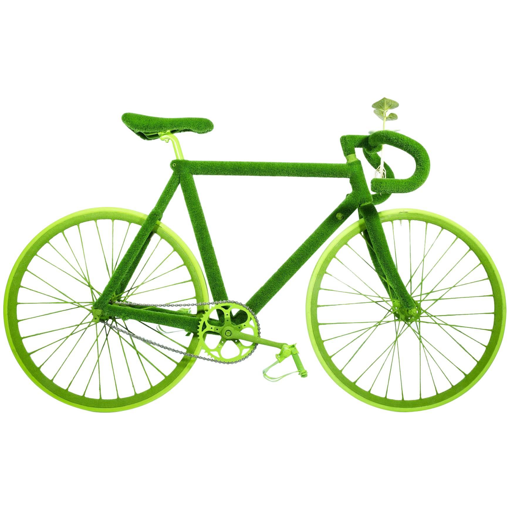 Botanical Bicycle, 2012 For Sale at 1stDibs