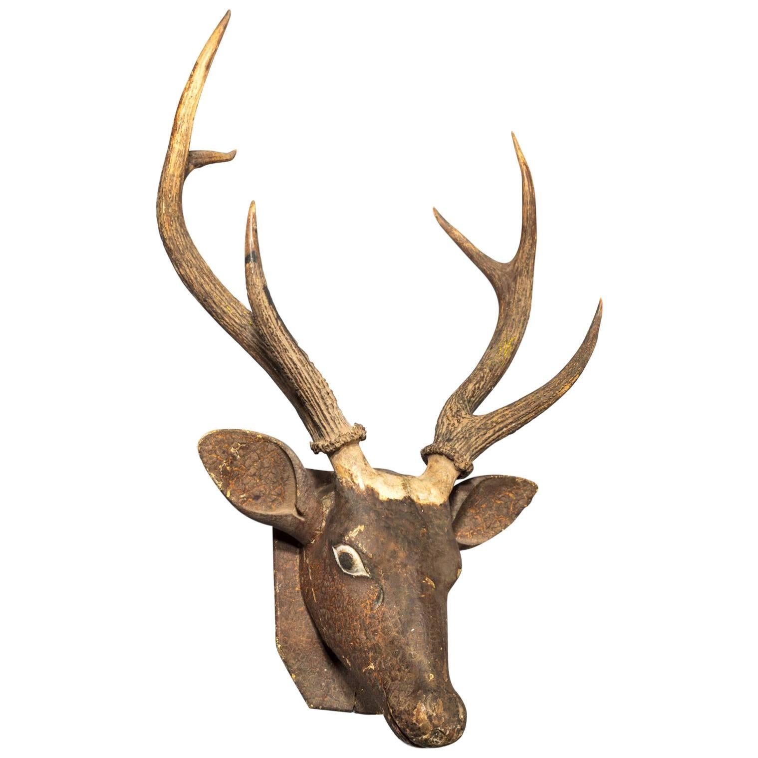 Real Stag Head - 6 For Sale on 1stDibs