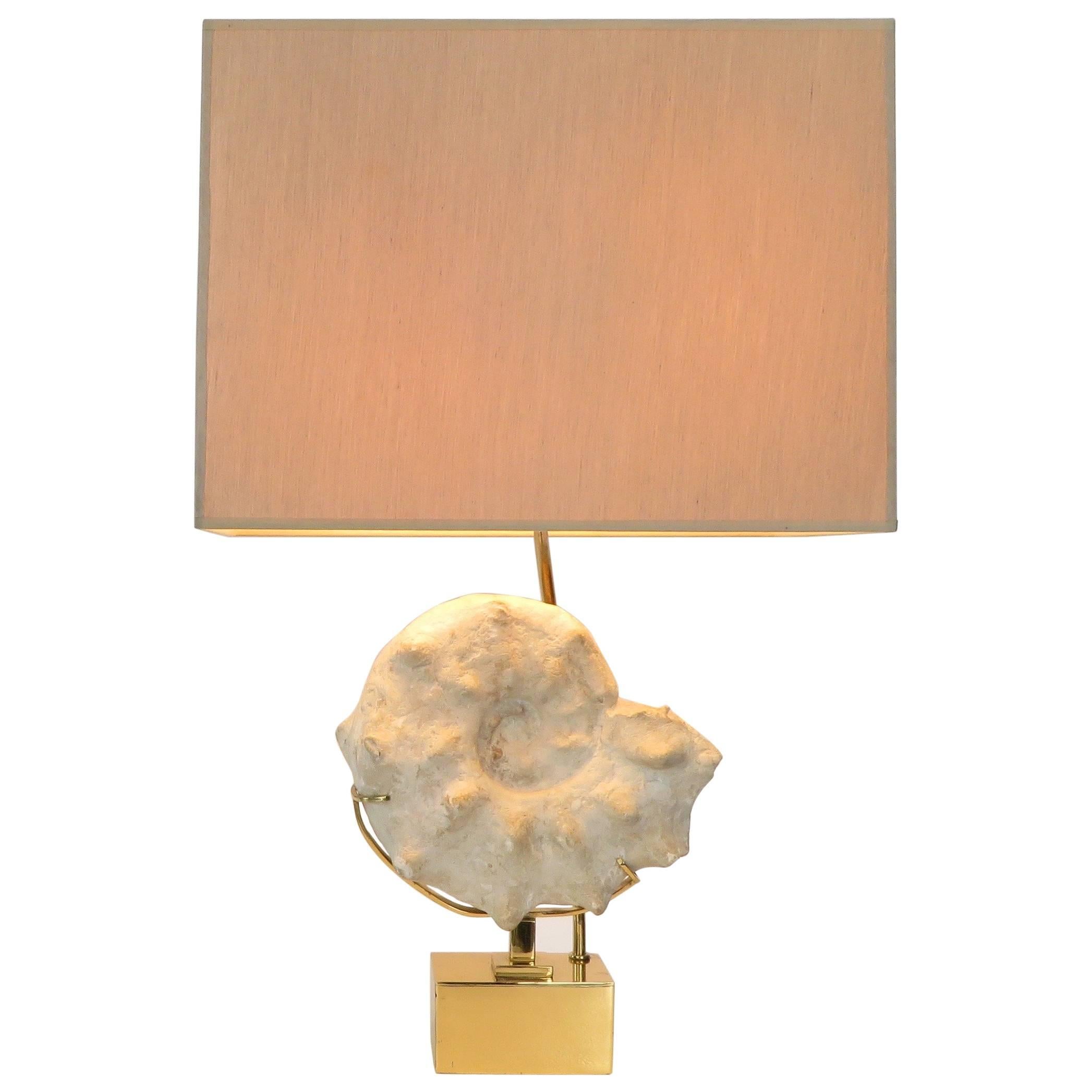 A Brass Belgian Lamp with Mounted Ammonite Specimen at 1stDibs