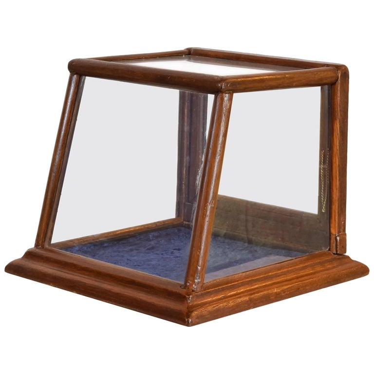 Small Walnut Display Box, circa 1920 at 1stDibs
