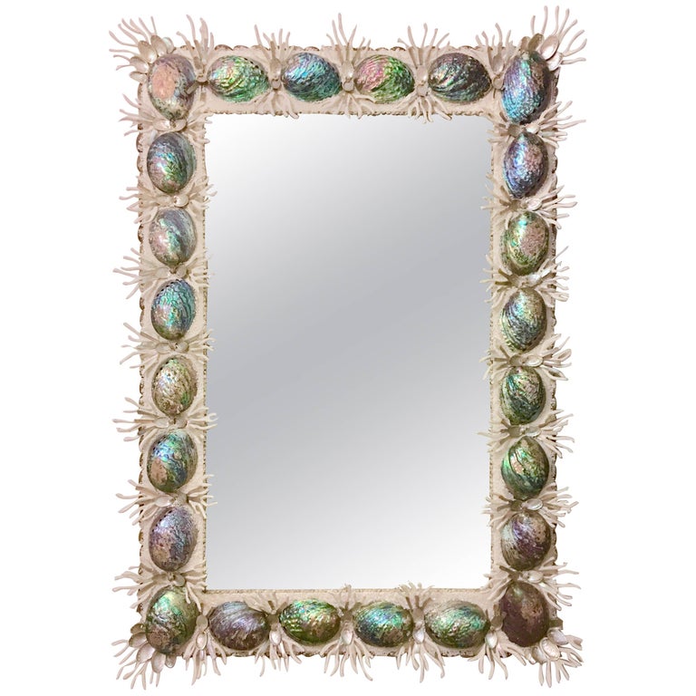 Large Abalone Shell and Spider Coral Branch Framed Mirror-50' Inches ...