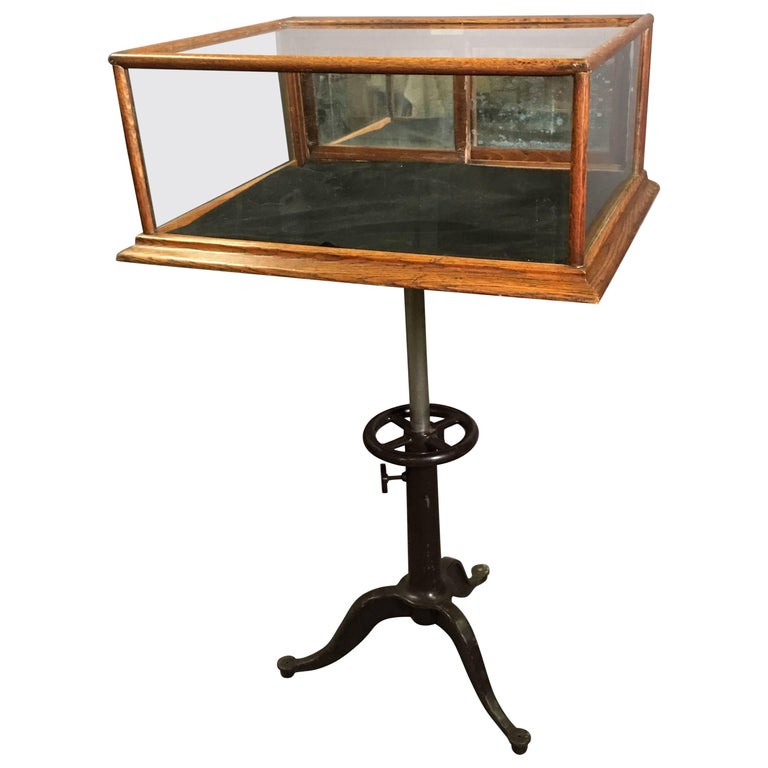 Antique Oak Shop Display Case with Cast Iron Pedestal Base at 1stDibs