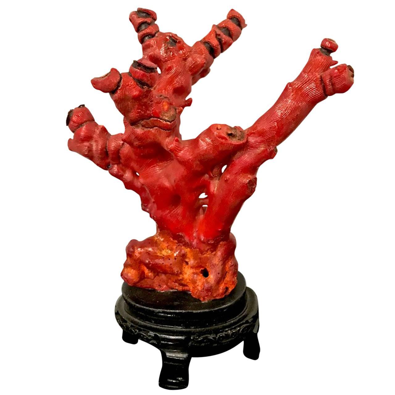 Large Branch Coral Sculpture on Stand at 1stDibs