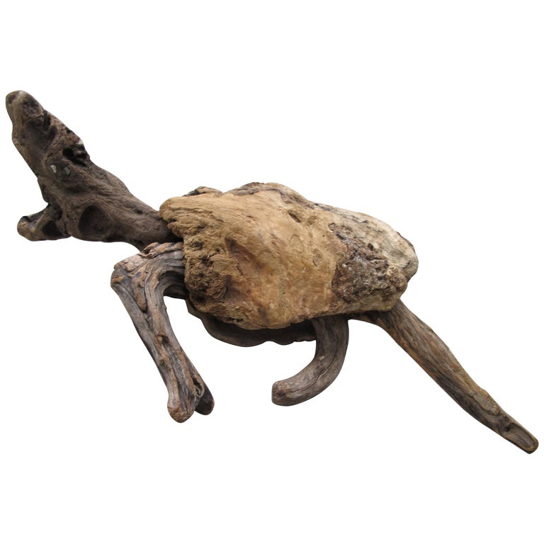 Wood Turtle Effigy For Sale at 1stDibs