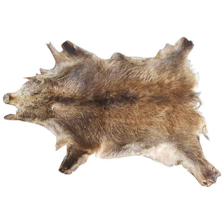 Vintage Wild Boar Skin Rug at 1stDibs | wild boar rug, the forest boar ...