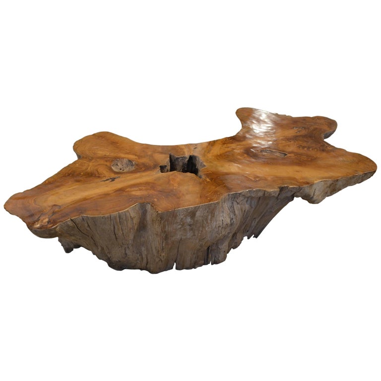 Andrianna Shamaris Teak Root Coffee Table at 1stDibs