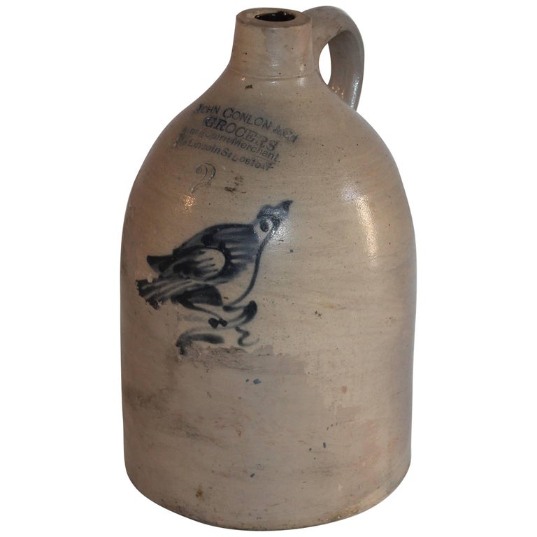 19th Century Decorated Salt Glaze Bird Jug at 1stDibs