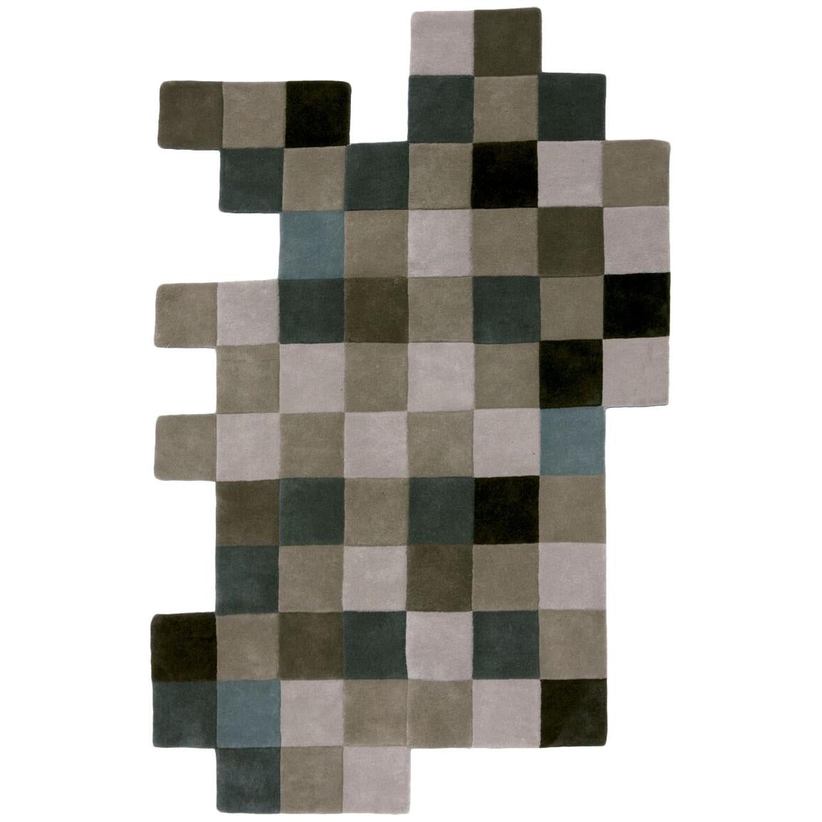 'Gris Pinton' Hand-Tufted Area Rug in Grey by Pinton For Sale at ...