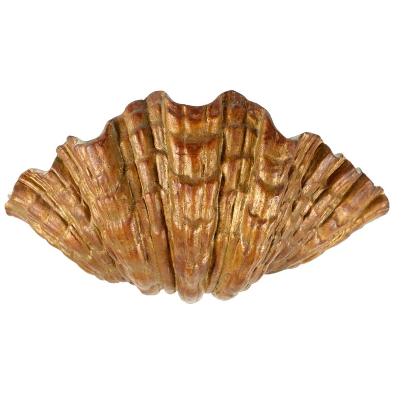 1930 Giant Shell Wall Diffuser by Serge Roche at 1stDibs