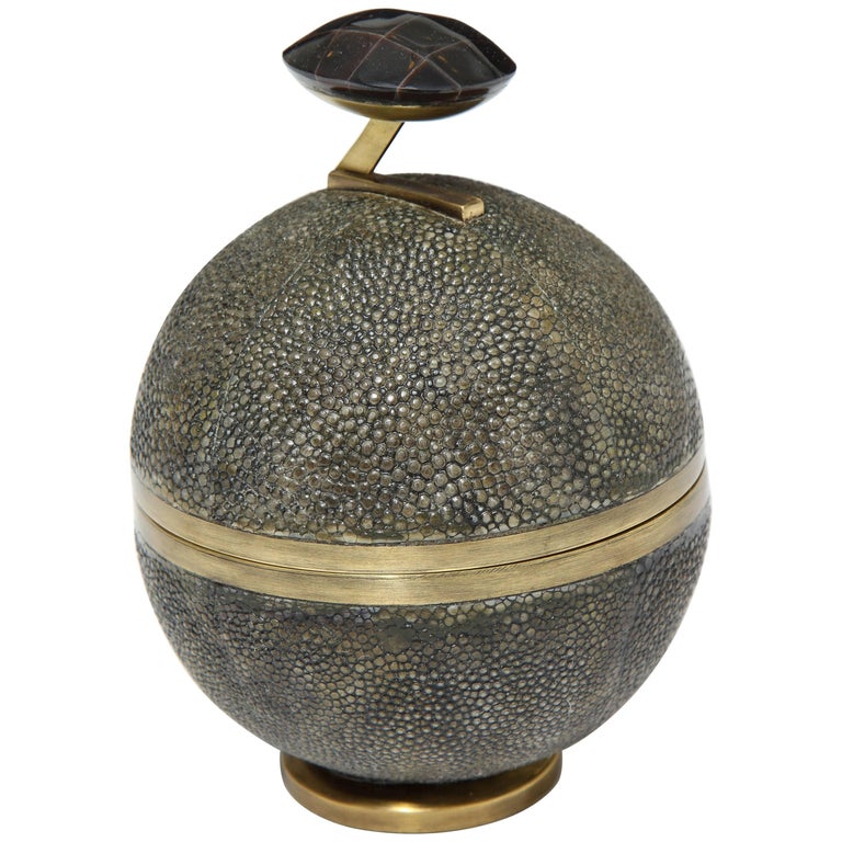 Shagreen Box With Bronze Details at 1stDibs